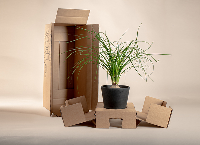 plant packaging boxes