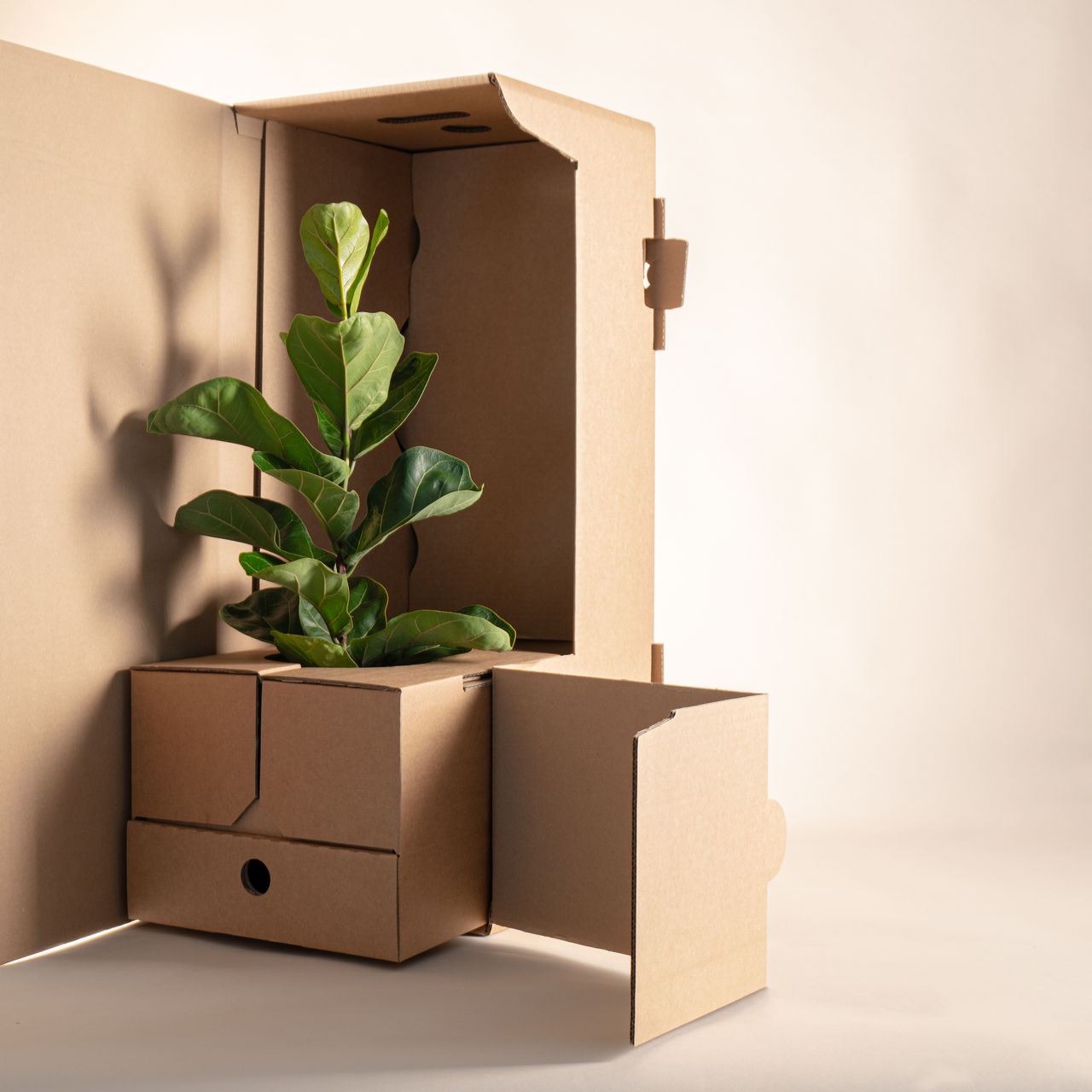 Sustainable shipping packaging | Model Group Switzerland