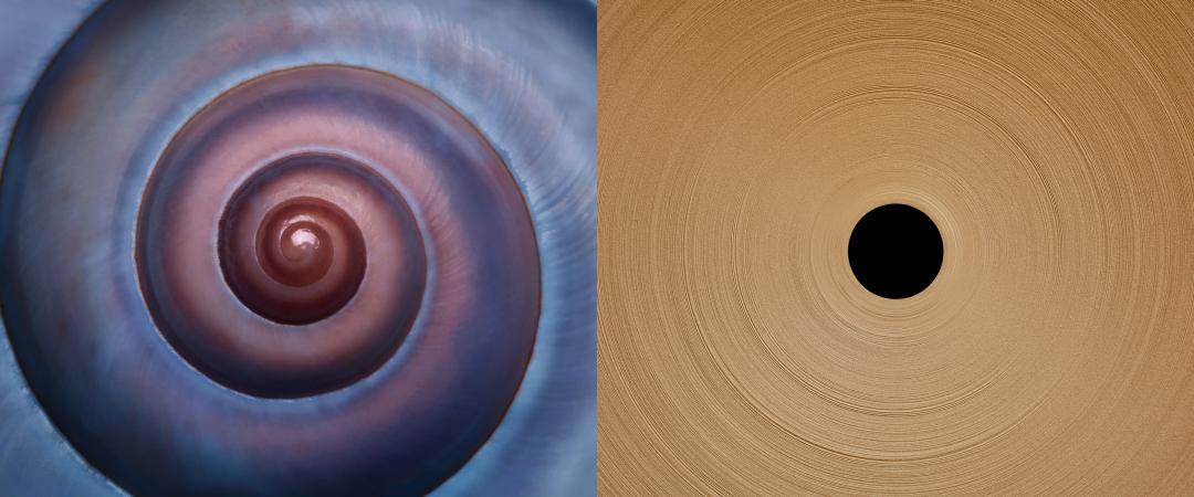 The Company | Model Group