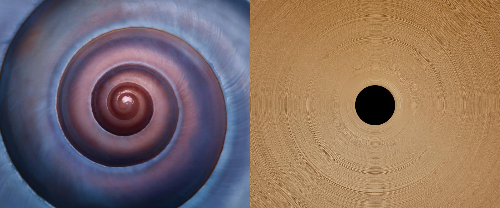 Das Unternehmen | Model Group Deutschland