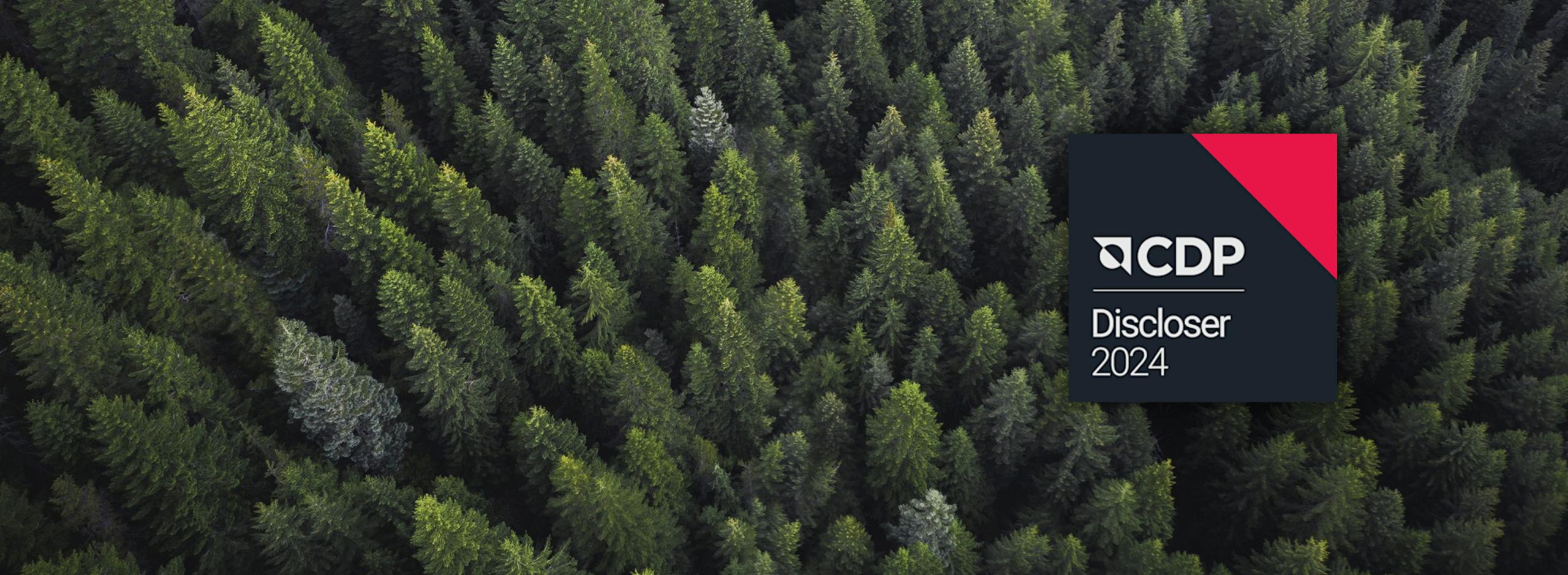 Model Group Deutschland – Extra in the Ordinary | Model Group Deutschland